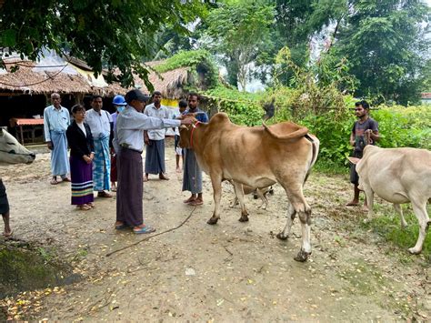 ကျောက်တံခါးမြို့နယ်၌ တိရစ္ဆာန်ရောဂါ ကွယ်ထိန်းချုပ်ခြင်းဆိုင်ရာ လှုပ်ရ