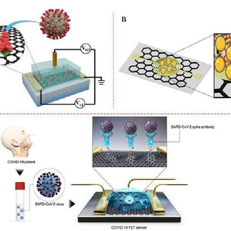 A C Schematic Of Graphene Field Effect Transistor With Permission Ref Download Scientific