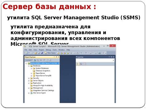 Создание базы данных и таблиц в Microsoft Sql Server