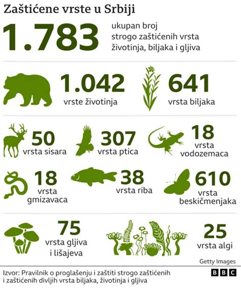 Srbija I životna Sredina Ko Su Konzervatori Prirode I šta Oni Rade Bbc News Na Srpskom