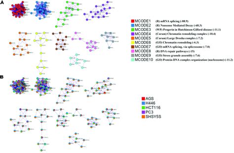 Top 10 Significant Protein Protein Interaction Networks A The Top 10 Download Scientific