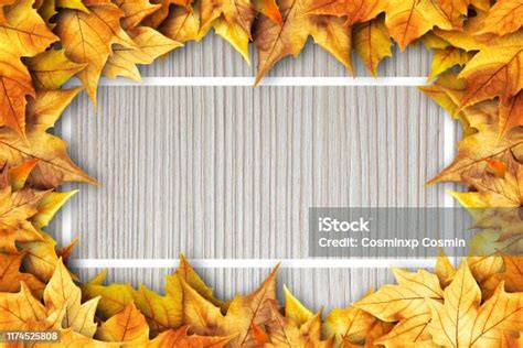 흰색 으로 칠해진 소박한 헛간 나무 공백 배경에 다채로운 가을 건조 잎 테두리 프레임 복사 텍스트 레터링에 대한 빈 공간입니다 수평 엽서 템플릿 10월에 대한 스톡 사진 및