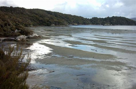 Tidal Flat Coastal Ecosystems Intertidal Zones And Sedimentation Britannica