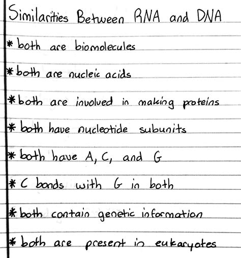 Similarities Between Rna And Dna Medical School Essentials Medical
