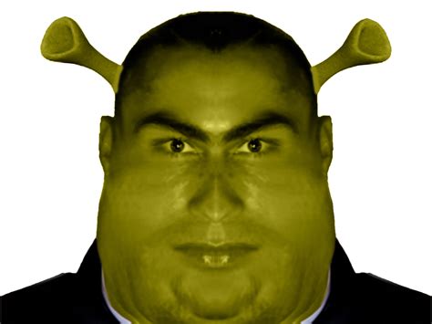 J Ai Crit Shrek Dans La Risibank Sur Onche