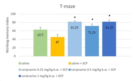 Comparison Of Working Memory Index Values Percentage Between Control