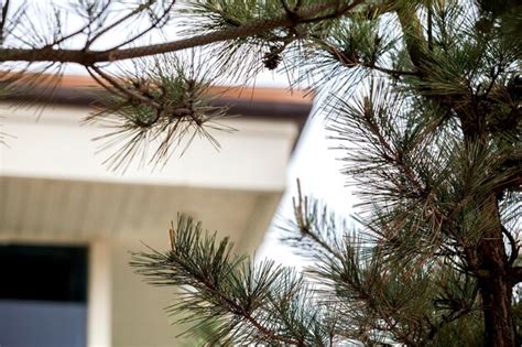 Premium Photo High Section Of Cropped Built Structure