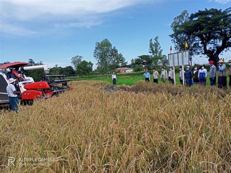 ၂၀၂၁ ၂၀၂၂ ခုနှစ် မိုးစပါးစံကွက် ရိတ်သိမ်းခြင်းနှင့် အခမ်းအနား ဒိုက်ဦးမြို့နယ်၌ ကျင်းပ