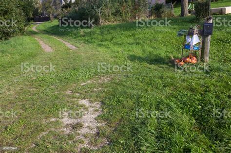 푸시 카트 키오스크 작은 현지 시장 9 월에서 아주 화창한 날에 갈색 철 랙 남쪽 독일에 독일 편지 Kasse 체크 아웃으로 일치할 근대 부추 당근 및 회색 가슴 같은