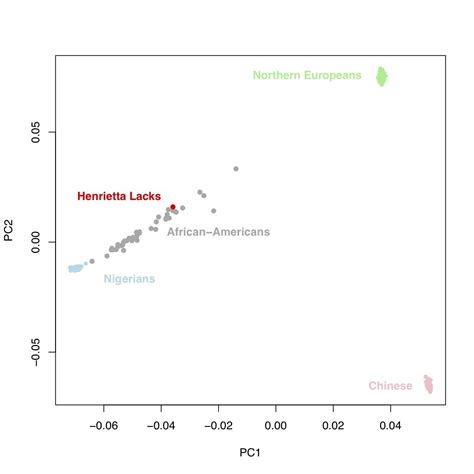 Henrietta Lackss Genome Sequence Has Been Publicly Available For Years « Genomes Unzipped