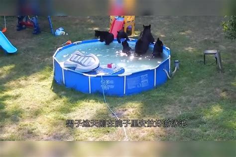 女子正在院子里弹琴不料引来两头熊下一秒悲剧了 两头 院子 悲剧