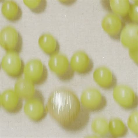 유료광고 연말에도 화사한 피부로 꼬달리 홀리데이 기프트 컬렉션ㅣ뷰티쁠beauty Youtube