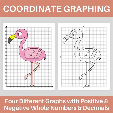 Summer Flamingo Coordinate Graphing Plotting Ordered Pairs Mystery Picture Made By Teachers