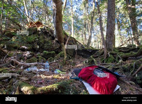 Aokigahara Forest Bodies