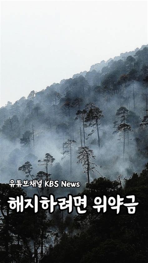 교복 저렇게 입고 다닌 언니야들 나와주세연 낭랑18세 한지혜 드라마 고등학생 학생 일진 Drama 배우 빵터짐 유머 웃음 예능 웃긴짤