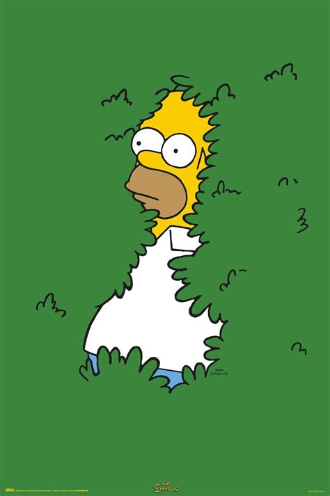 Plakat The Simpsons Homer In The Bush Poster An Der Wand 31