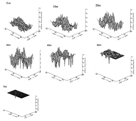 Spatially Explicit Diffuse Transmittance Estimated By Oltree For An