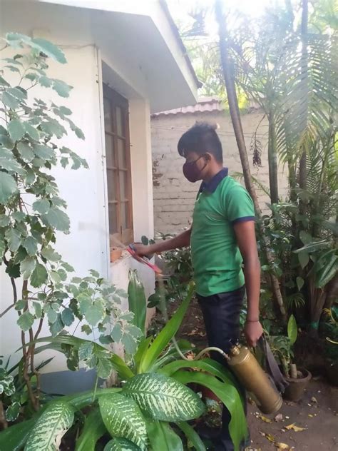 Commercial Mosquito Control Services In Chennai Id 2849708078312