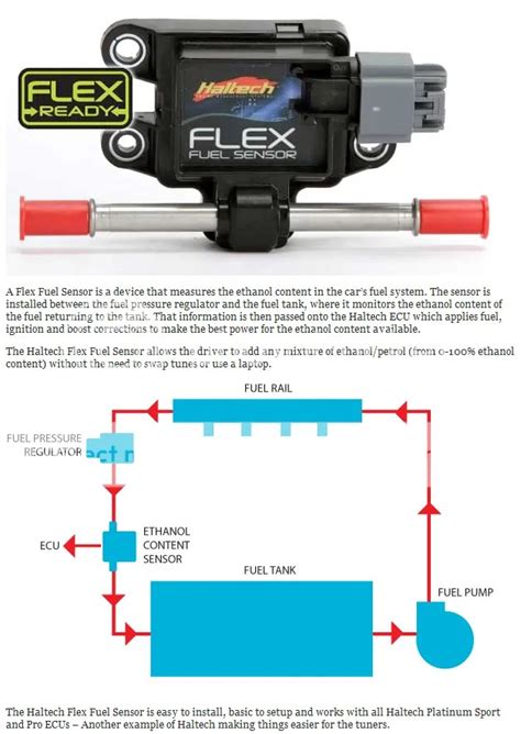 Haltech Flex Fuel Sensor Wiring Diagram Flex Fuel Compositio