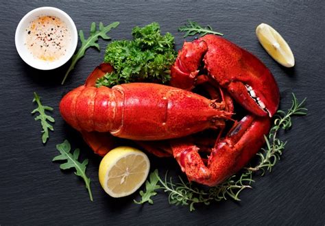 How The Cockroach Of The Sea Became A Decadent Dinner My Biz Niche