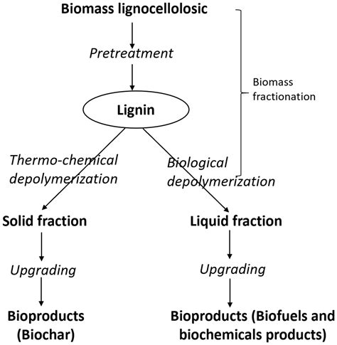 Future Trends And Innovation In Depolymerization Acs Symposium Series
