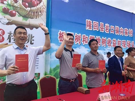 隆回爱心果树认购 助力扶贫攻坚 区县动态 湖南在线 华声在线