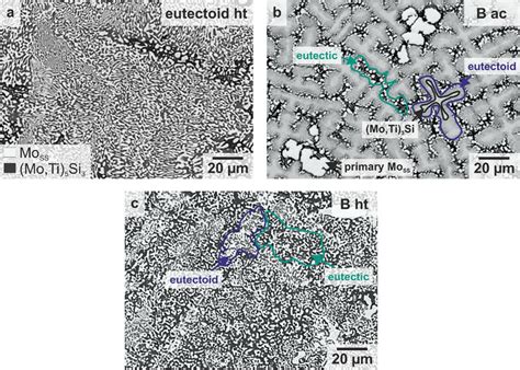Bse Micrographs Of The Eutectoid Alloy In Ht Condition A In Download Scientific Diagram