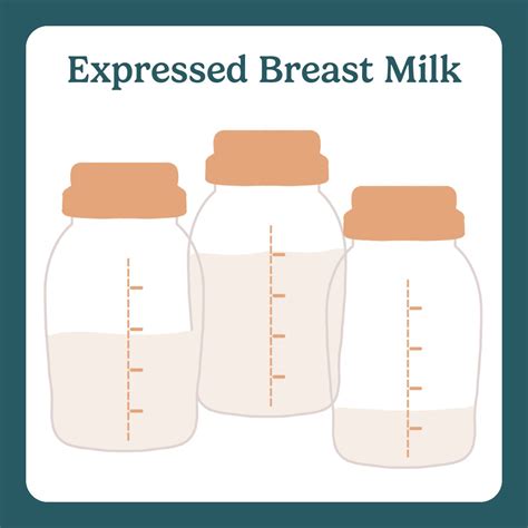 Expressed Breastmilk Breastfeeding Glossary By The Lactation Collection