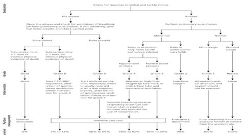 Emergency Management Of Drowning Pptx