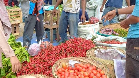 Suplai Lampaui Kebutuhan Harga Cabai Terus Anjlok Petani Lokal Terancam Rugi Serambinews Com