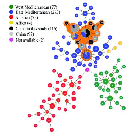 Dendrogram Based On The Mlva 16 Genotyping Assay Upgma Method