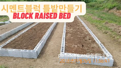 시멘트 블럭으로 틀밭 만들기 Making Raised Bed With Cement Blocks Youtube