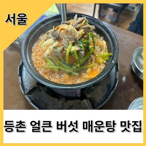 등촌 칼국수 추천 비오는 날 정말 맛있는 곳 얼큰 버섯 매운탕 칼국수 맛집 등촌 최월선칼국수 네이버 블로그