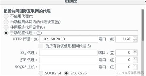 squid代理服务器应用 squid代理客户端 csdn博客