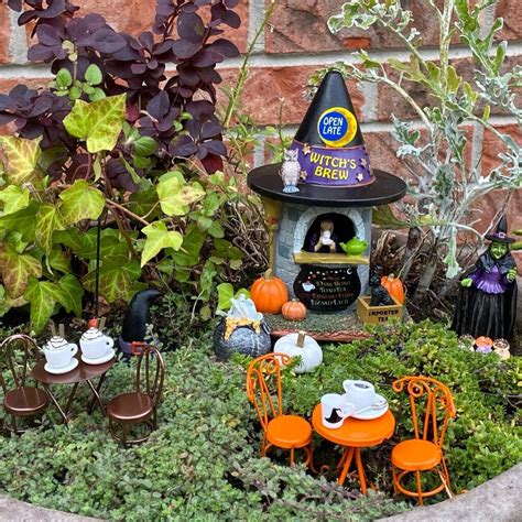 Beautiful Fern Garden Ideas To Create A Lush Green Escape Earthsoulorganics