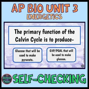 AP Bio Unit Review Cards Cellular Respiration Photosynthesis And Enzymes