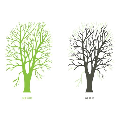 Crown Reduction Green Planet Tree Services