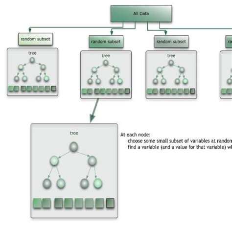 Conceptual Illustration Of Random Forest Classifier Figure Courtesy Of Download Scientific