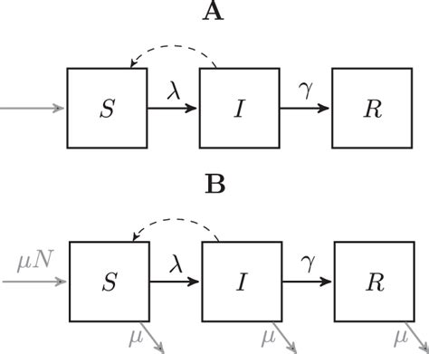 A Schematic Representation Of The Standard Sir Model In The Absence Download Scientific