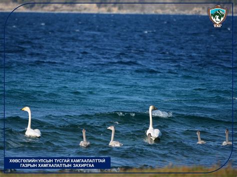 ХАМГААЛАЛТЫН ЗАХИРГААНЫ 2022 ОНЫ БИОЛОГИЙН ТӨРӨЛ ЗҮЙЛИЙН АЖИГЛАЛТ СУДАЛГААНЫ ҮР Хөвсгөлийн