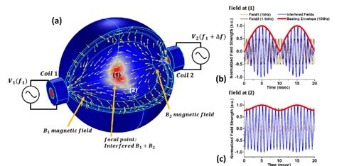 Simulation Results Showing The Concept Of Mti On A Human Brain Model