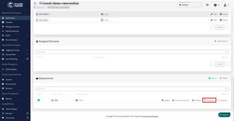 Api Executiontesting With Swagger Codenow Documentation