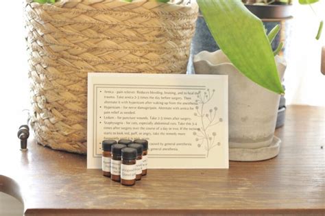 6 Remedies You Need To Use Before And After Surgery Emily Frye Homeopathy