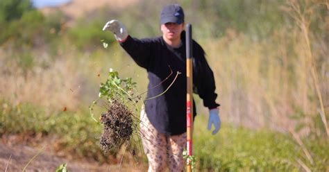 Early Detection Rapid Response