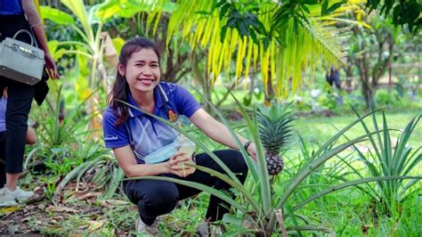 การประเมินโครงการคัดเลือกโรงเรียนต้นแบบอาหารกลางวัน Youtube