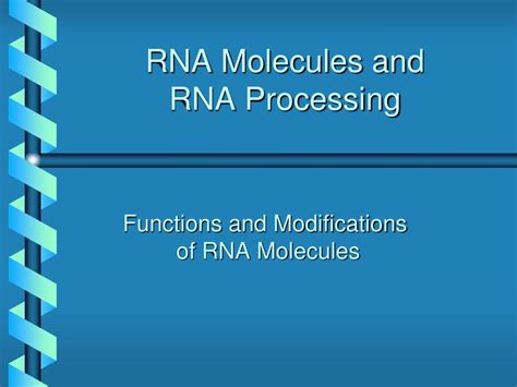 PPT RNA Molecules Functions And Processing In Protein Synthesis PowerPoint Presentation ID
