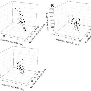 Relationships Among Maximum Leaf Length Maximum Leaf Width And Root Download Scientific