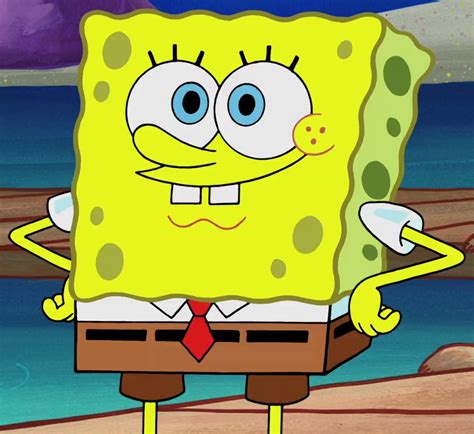The Many Adventures Of Spongebob Squarepants The Parody Wiki Fandom