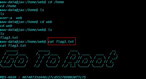 Os Hax Walkthrough Vulnhub Ctf Hacknos Os Hax Ctf Vulnhub Basic
