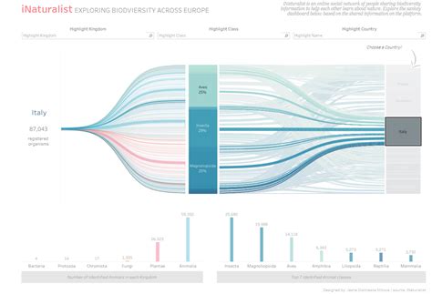 Reflection The Data School Down Under The Data School Down Under